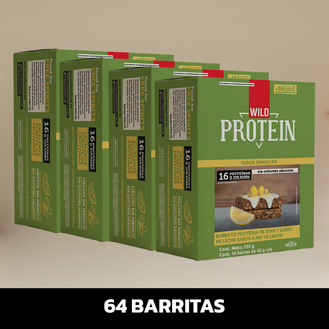 Barritas de Proteína - Sabor Chocolate - 64 barritas – Wild Foods Mexico