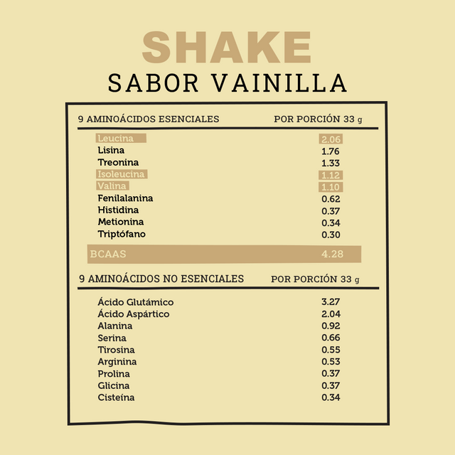 Shake en polvo sabor Vainilla 495 grs – Wild Foods Mexico